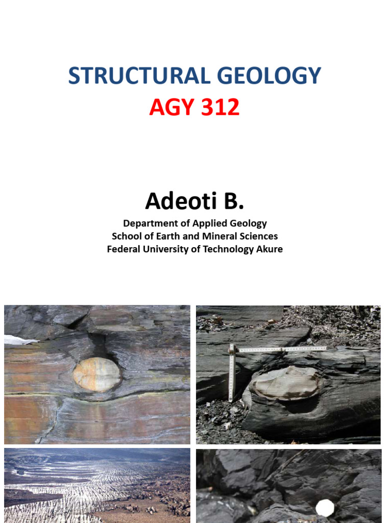 Agy 312 Note | PDF
