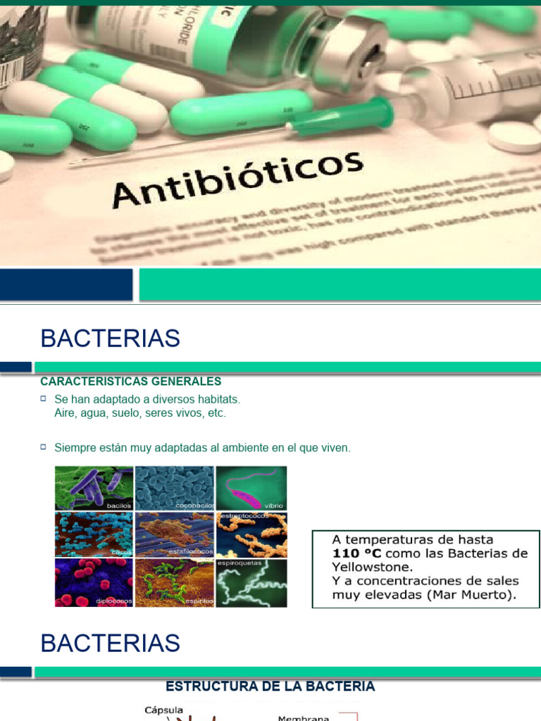 5 Antibióticos | PDF | Las bacterias | Penicilina