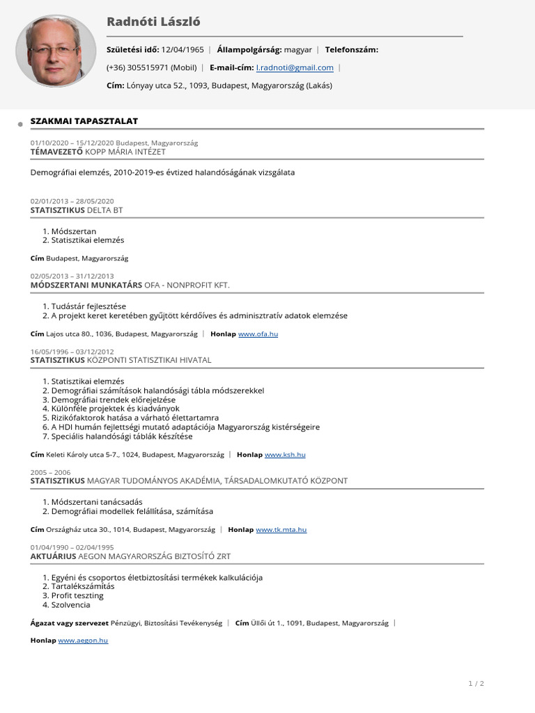 Radnóti László CV | PDF