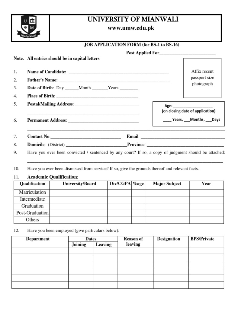 JOB APPLICATION FORM For BS 1 To BS 16 | PDF | Government | Justice