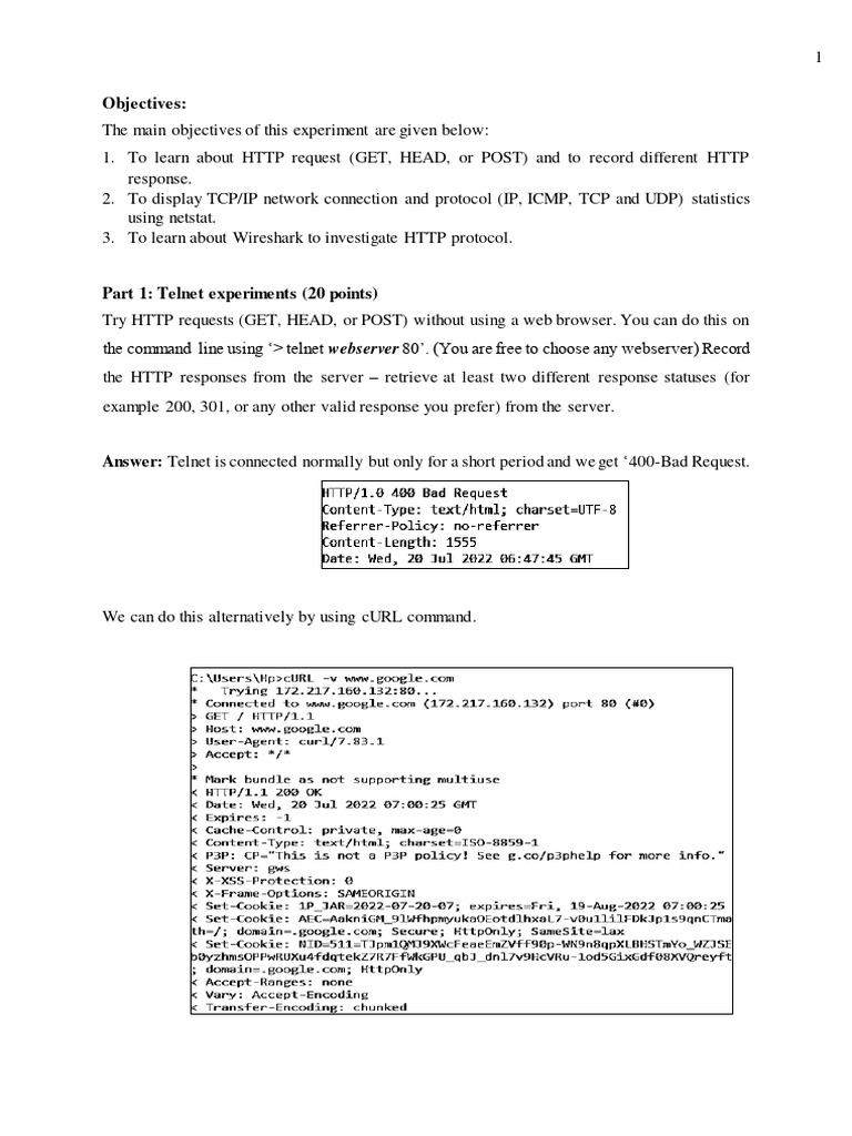 Shad Lab CN | PDF | Internet Protocols | Networking