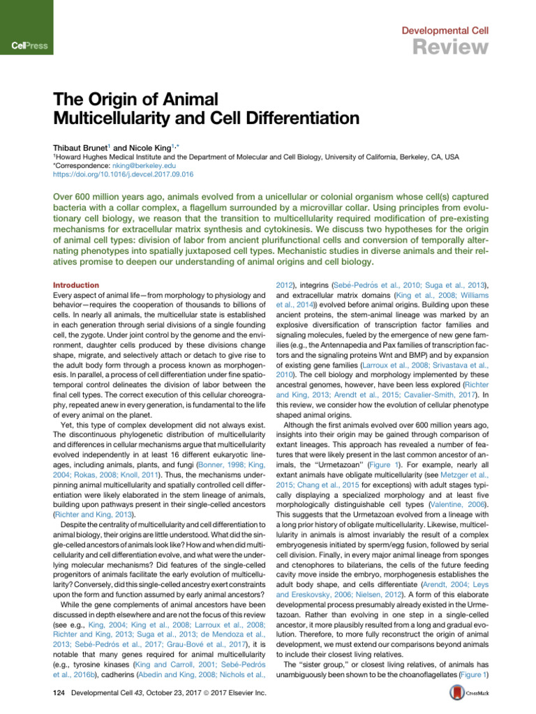 Brunet - y - King - 2016 - The Origin of Animal Multicellularity and Cell Differentiation - mmc2 ...