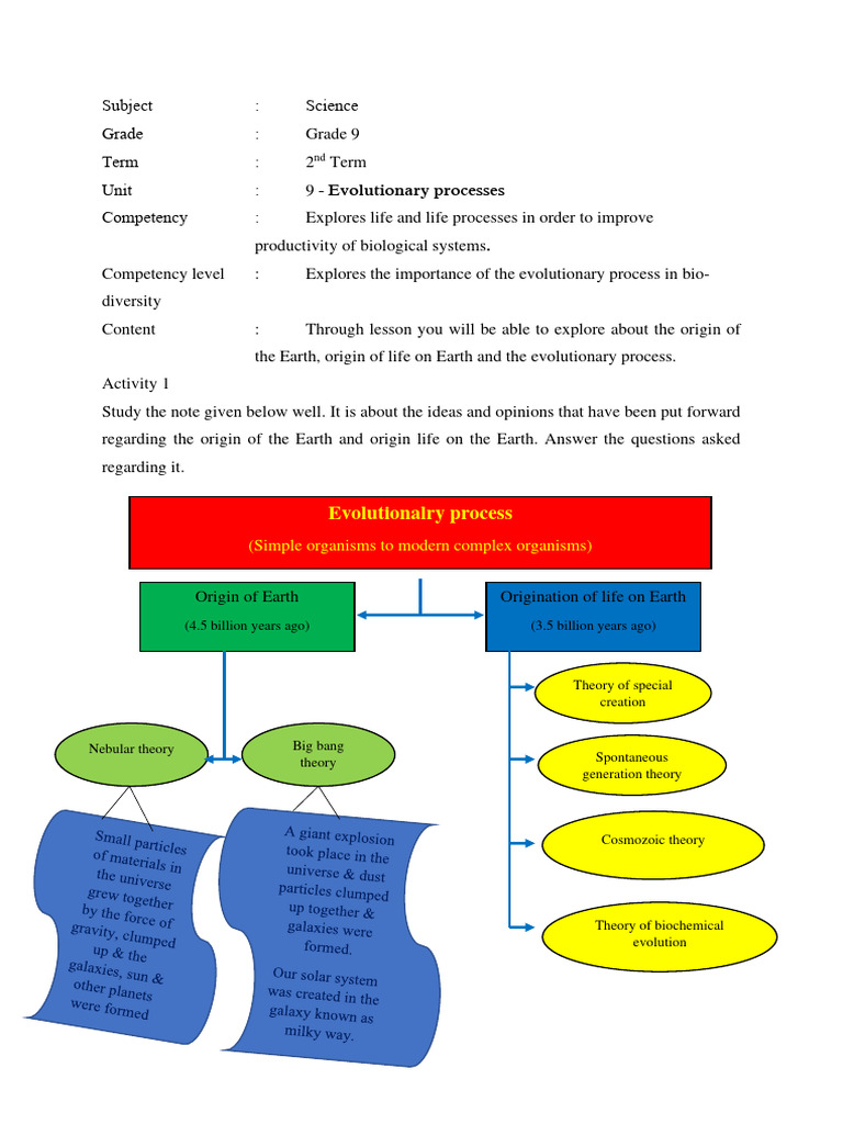 Grade 9 Unit 9 | PDF | Life | Abiogenesis