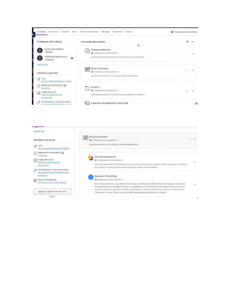 Asistente Virtual Genera Contenido | PDF