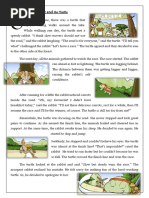 The Rabbit and The Turtle | PDF