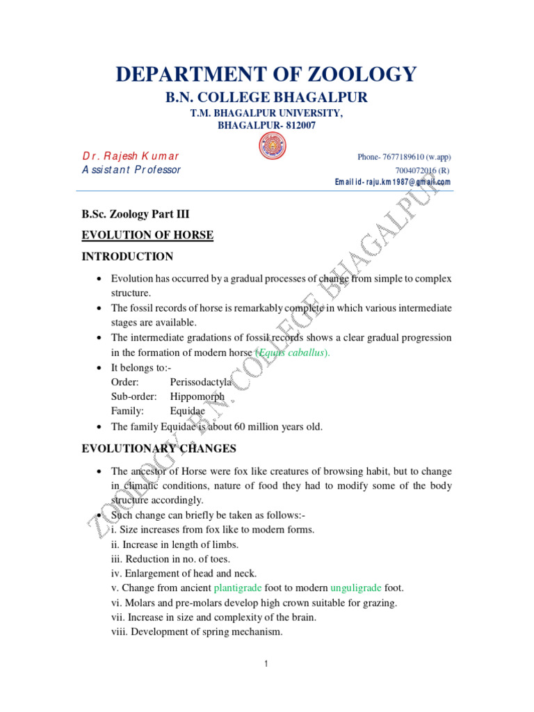 BSC Zoology Part III Evolution of Horse | PDF | Horses
