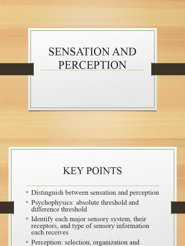 CH # 3 Sensation - Perception | Download Free PDF | Senses | Perception