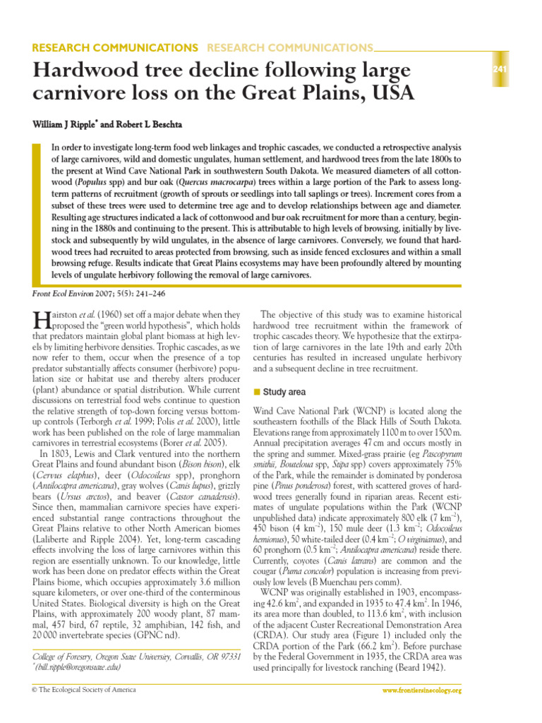 Hardwood Tree Line | PDF