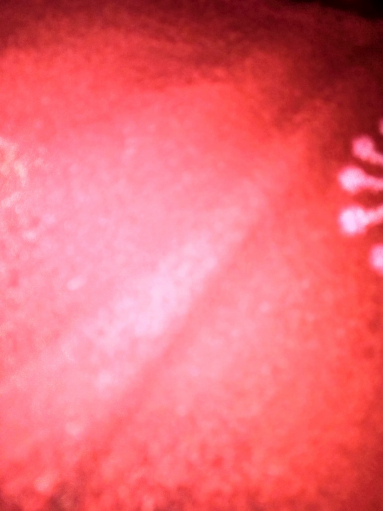 Adobe Scan 22 Mar 2024 | PDF