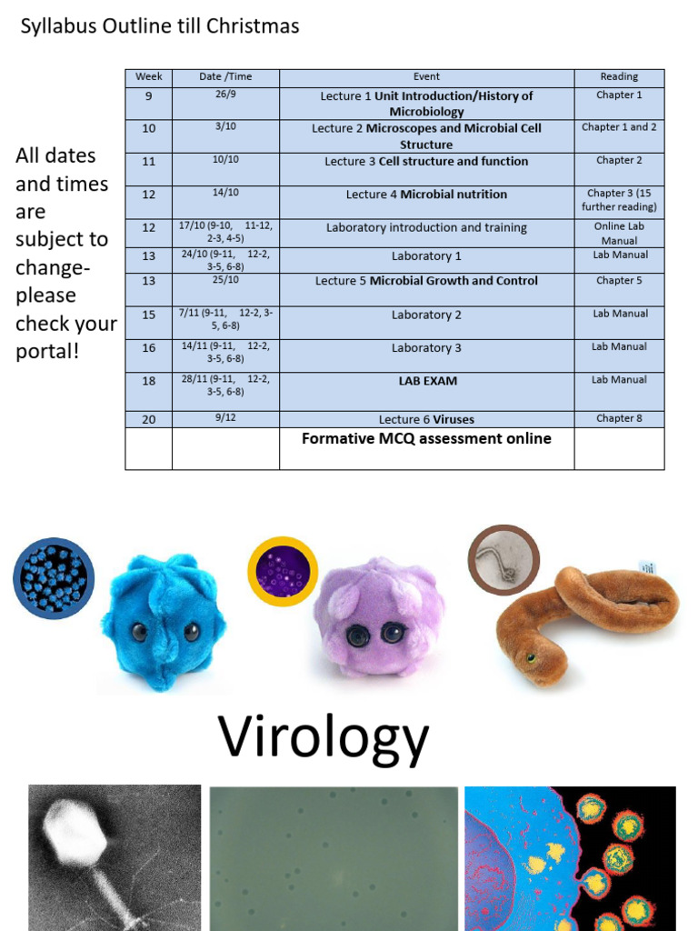 Lecture 6 - Virology | PDF | Virus | Bacteriophage