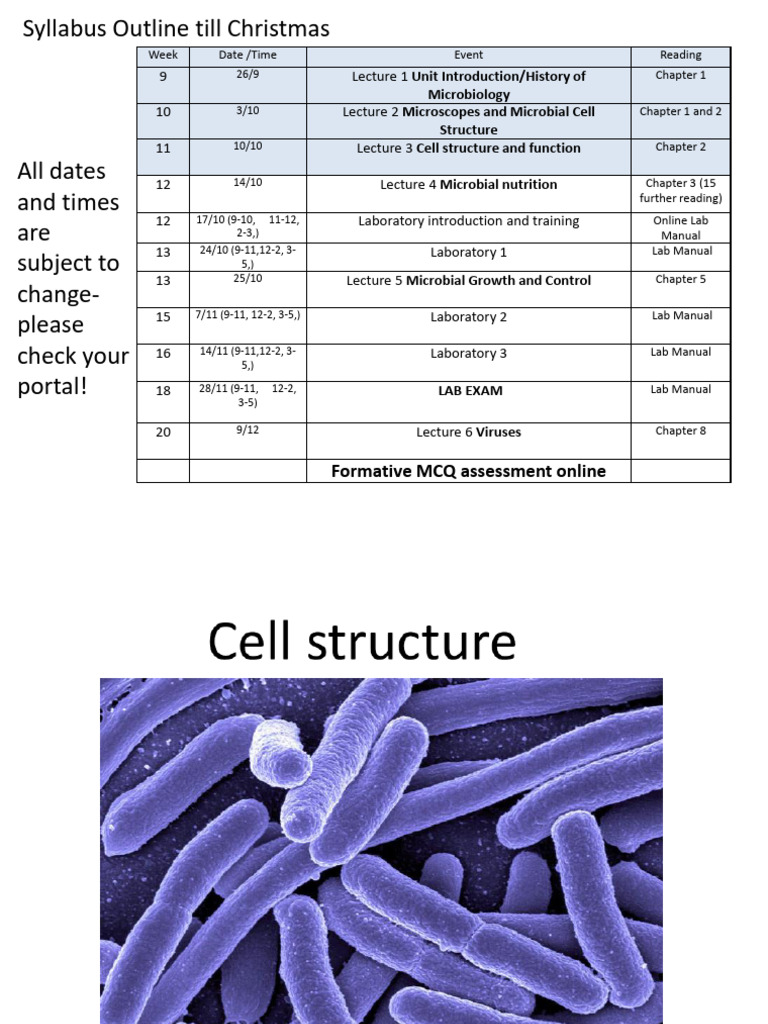Lecture 3 - Cell Structure | PDF | Cell Membrane | Cell (Biology)
