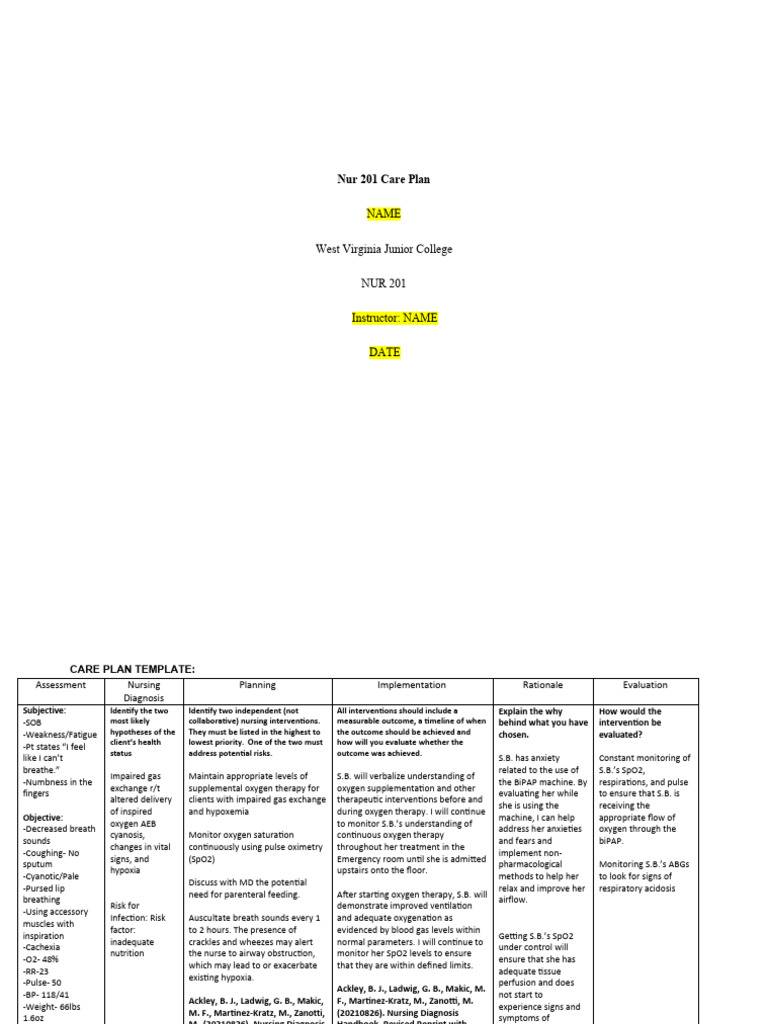 Care Plan Example | Download Free PDF | Chronic Obstructive Pulmonary ...