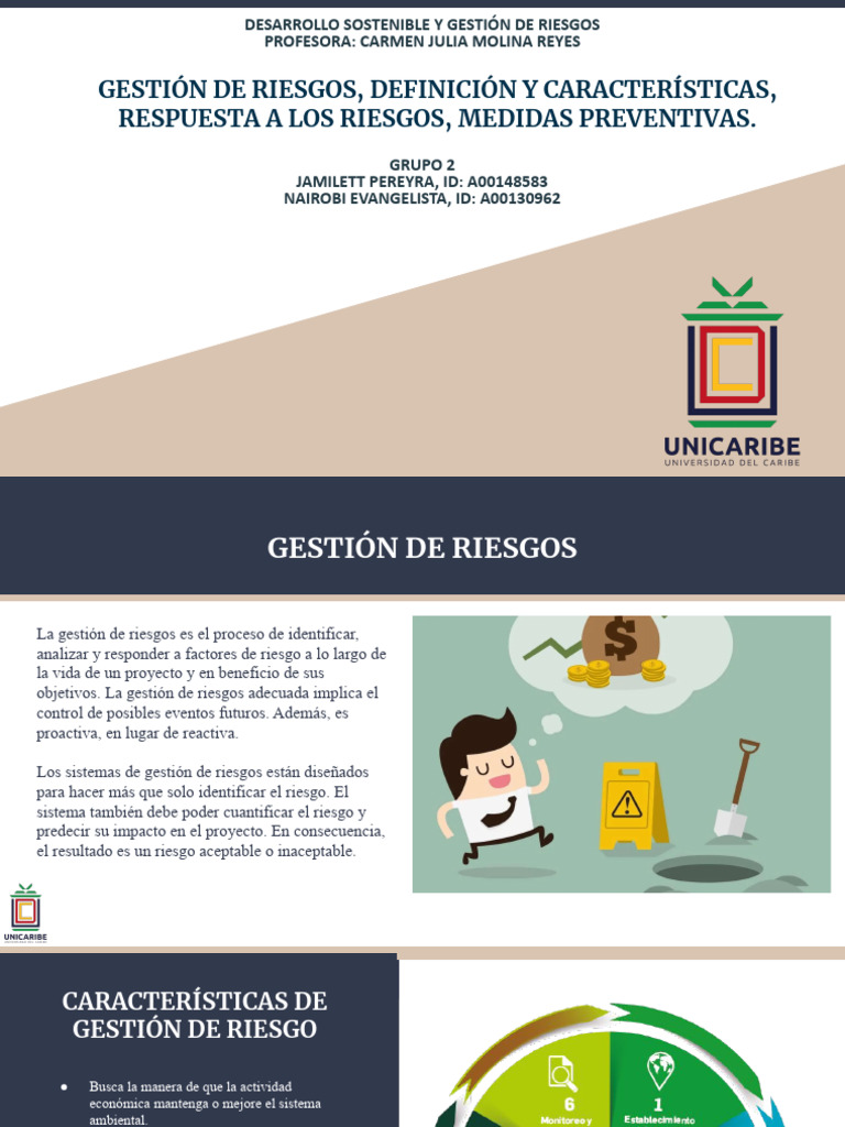 Gestión de Riesgos, Definición y Características, Respuesta A Los ...