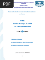 Rapport de Stage STB | PDF | Banques | Tunisie