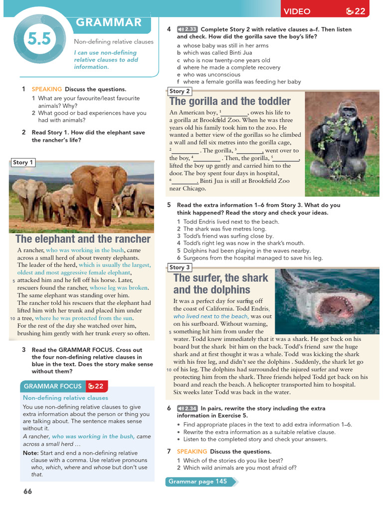 Focus 3 Student Book Answer Key | PDF