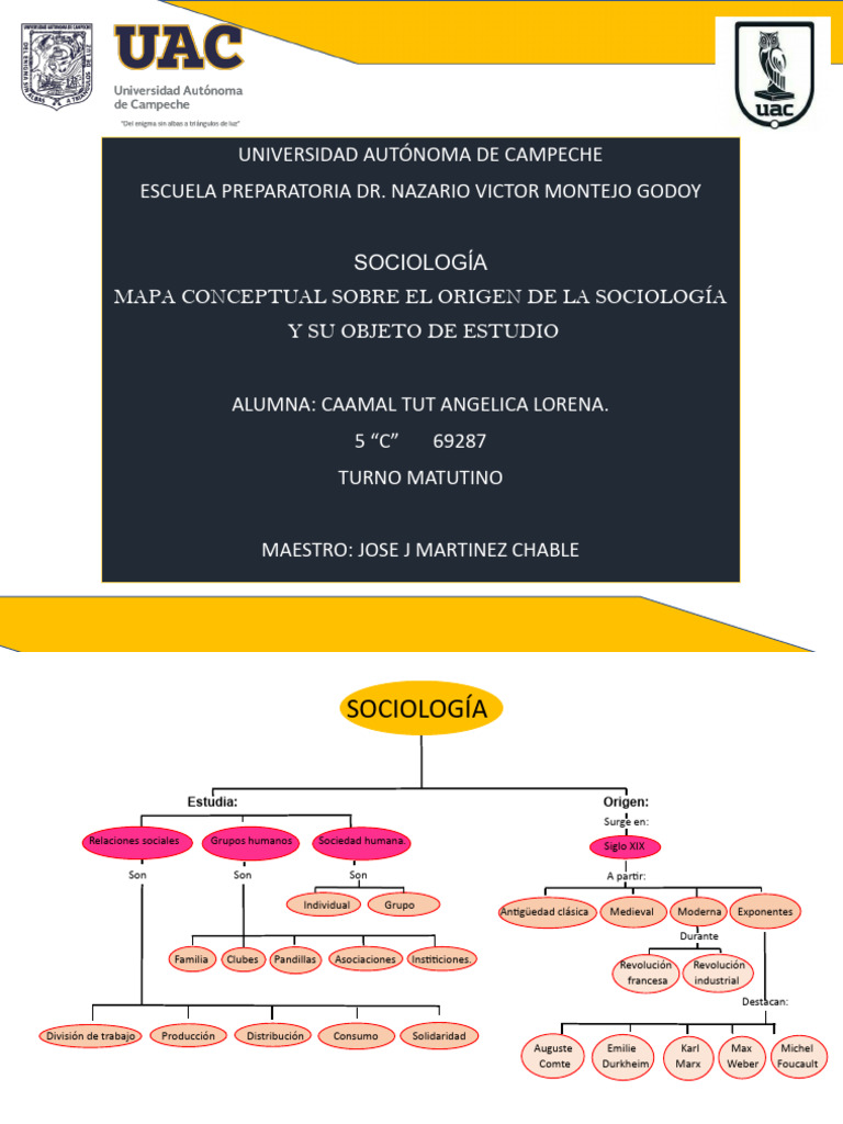 ACT-mapa Conceptual Sociología | PDF