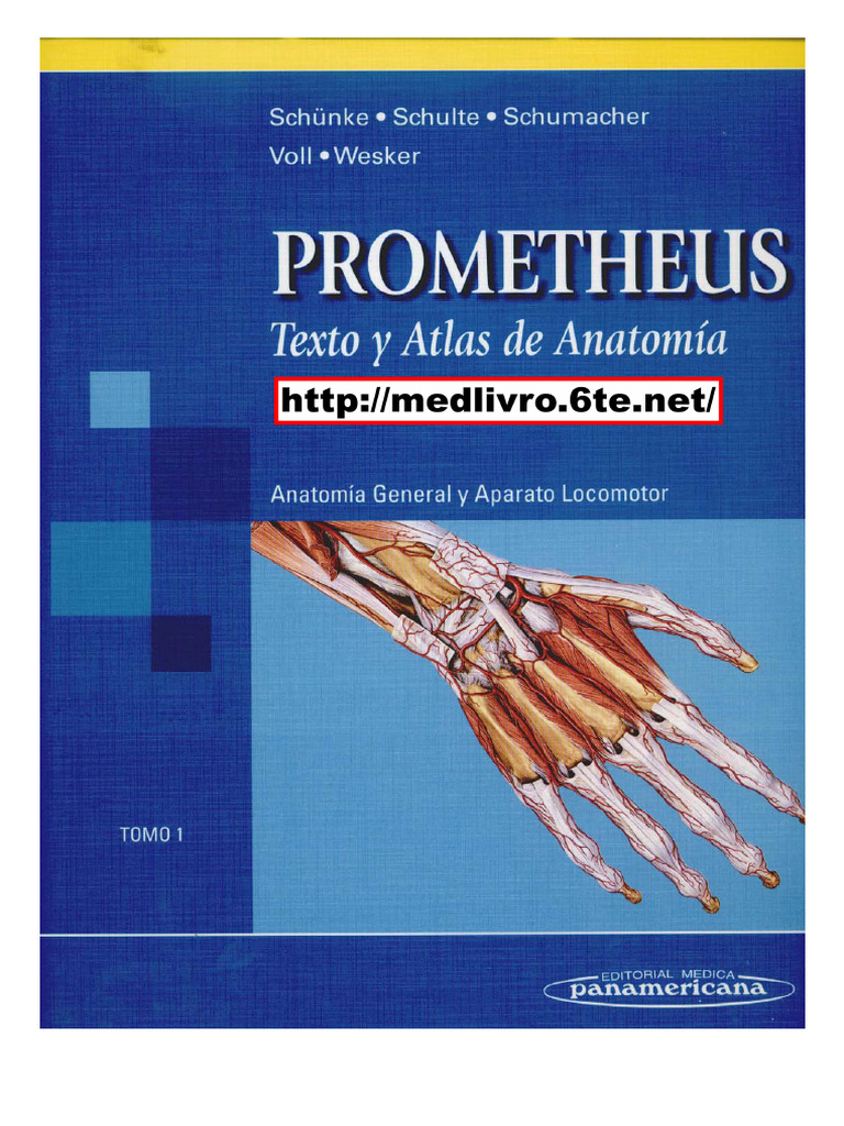 Prometheus - Atlas de AnatomÃ A Humana (Tomo 1 - Anatomia Geral e ...