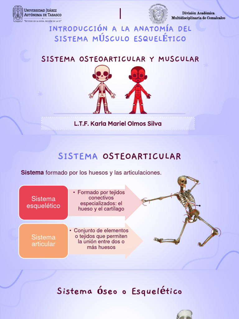 Generalidades Del Sistema Osteoarticular y Muscular | PDF ...