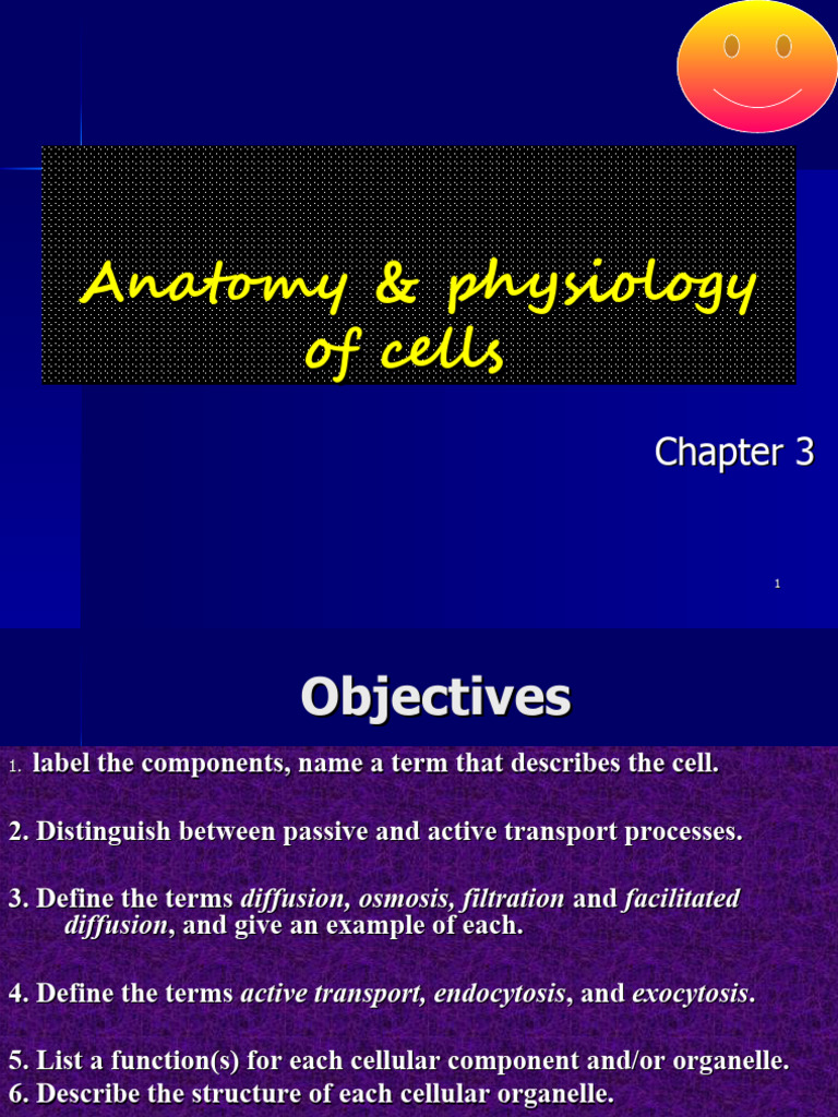 Cell Anatomy and Physiology Overview | PDF | Endoplasmic Reticulum ...
