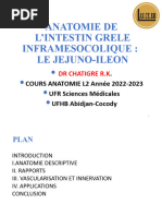 Anatomie chirurgicale du colon humain | PDF | Gros intestin | Anatomie