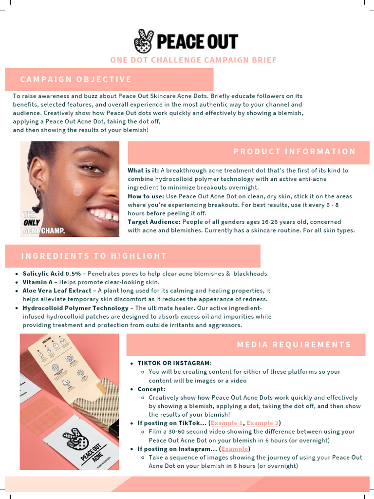 Challenge Brief | PDF