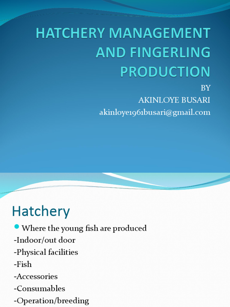 Catfish Hatchery Management Techniques | PDF | Spawn (Biology) | Egg