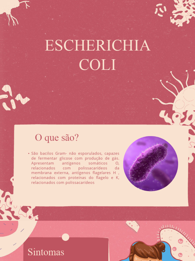 Escherichia Coli | PDF