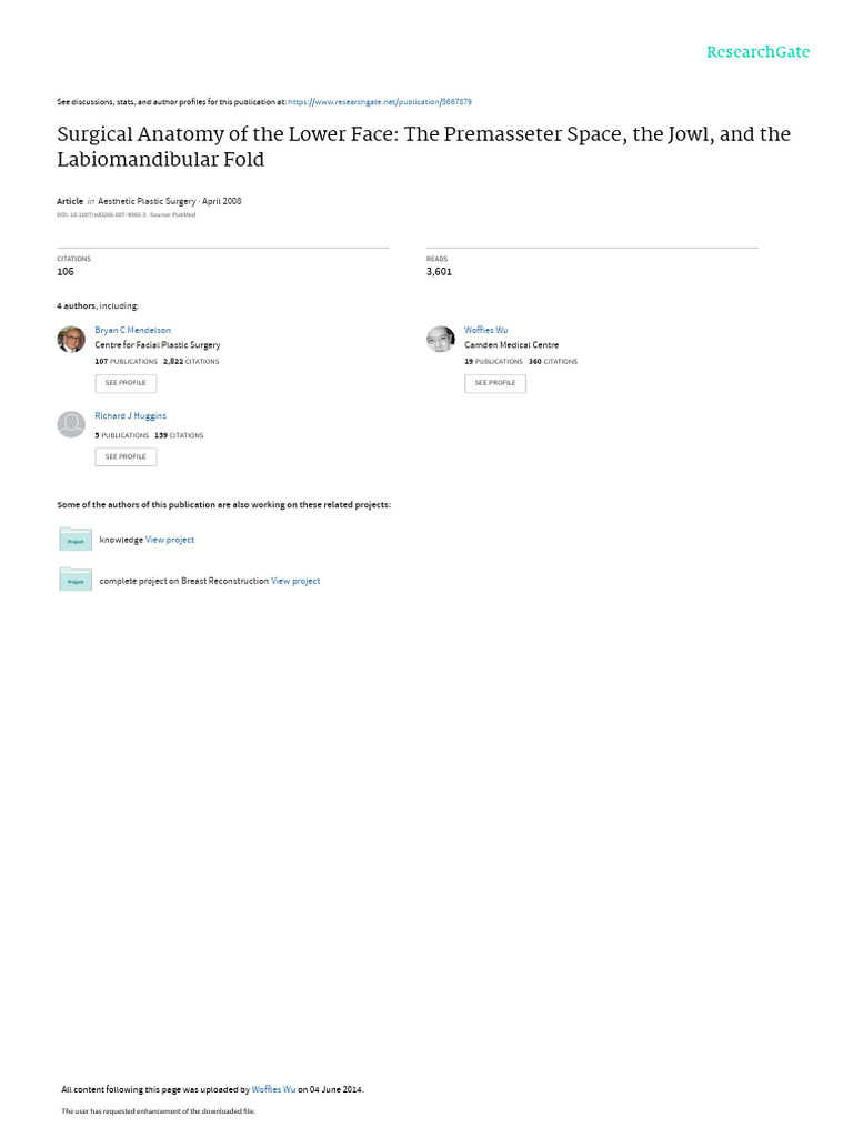 Labiomandibular Fold in Facial Anatomy | PDF | Anatomical Terms Of ...