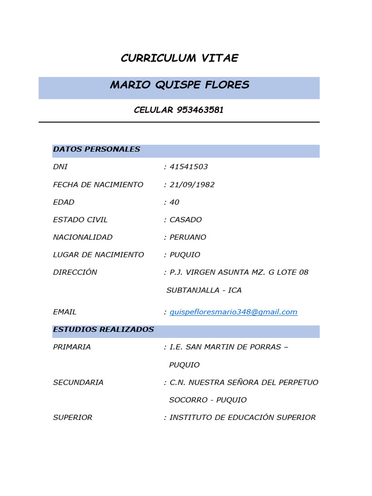 Curriculum Viate - Mario | PDF