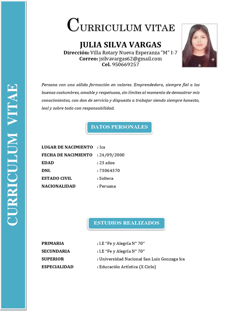 Julia Silva Vargas - CV | PDF
