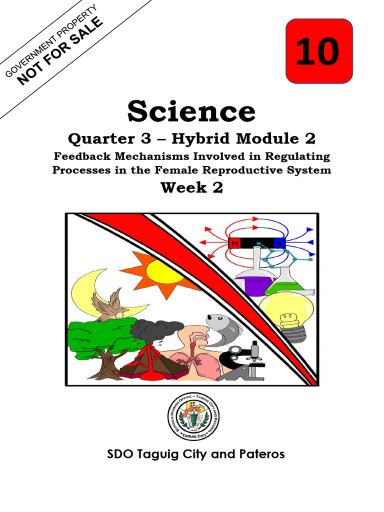 Female Reproductive Feedback Mechanisms | PDF | Menstrual Cycle | Luteinizing Hormone