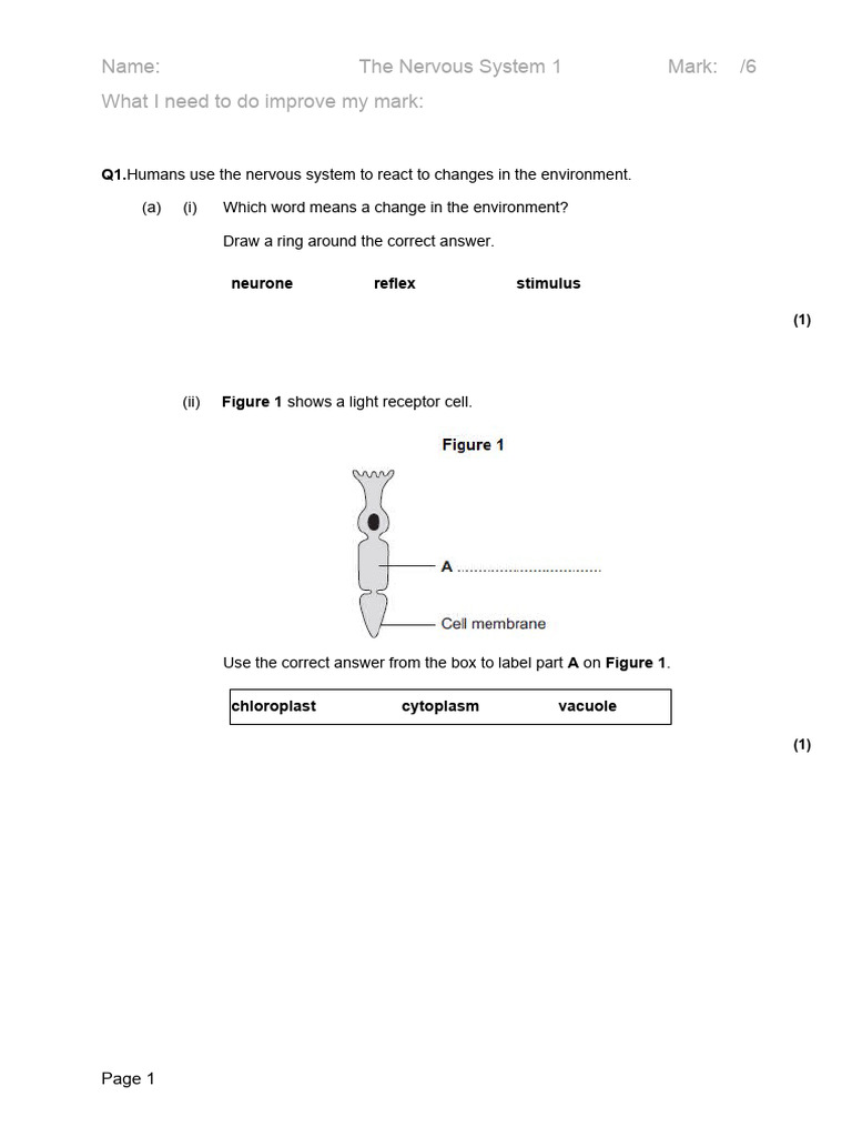 The Nervous System 1 Exam Qs and Ms | Download Free PDF | Nervous ...