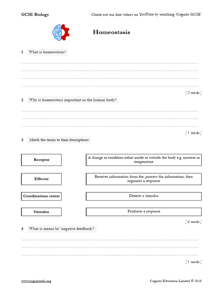 GCSE Biology - Homeostasis - Worksheet | PDF | Physiology | Cognitive ...