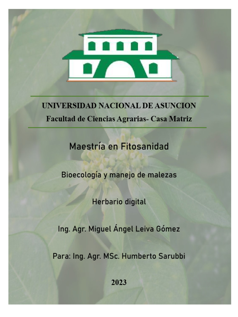 Herbario Virtual Miguel PDF | PDF