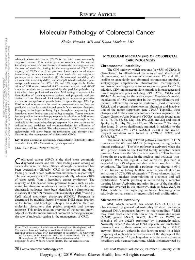 Molecular Pathology of Colorectal Cancer.4 | PDF