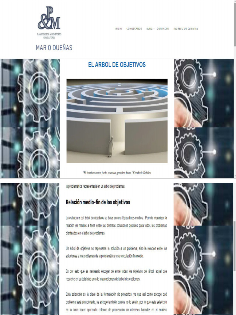 Mario Dueñas Arbol de Objetivas | PDF