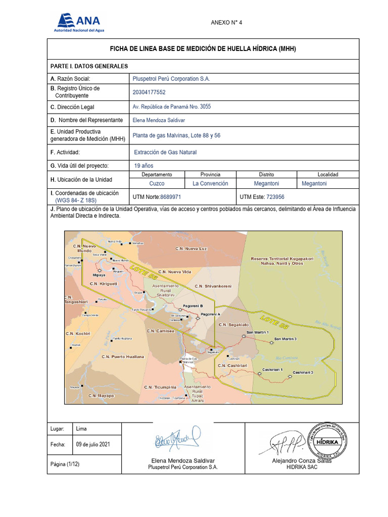 Anexo - 4 - Ficha - Linea - Base - VF | PDF