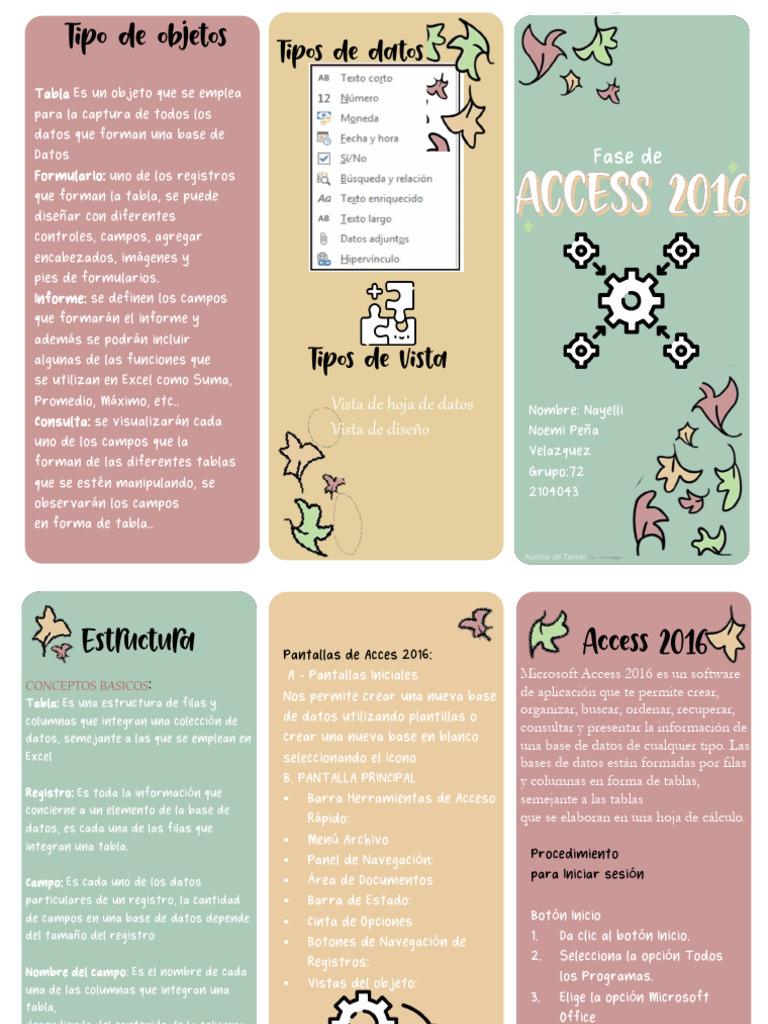 Triptico BD | PDF | Microsoft Excel | Bases de datos
