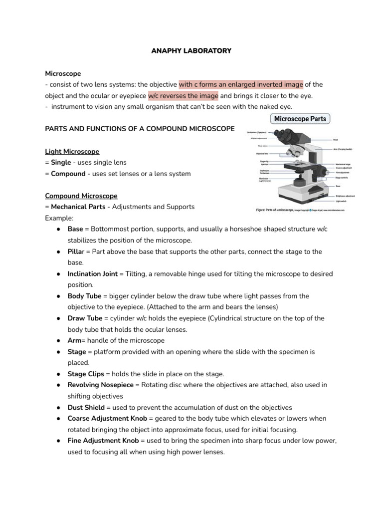Anaphy Reviewer | PDF | Mitosis | Cell Cycle