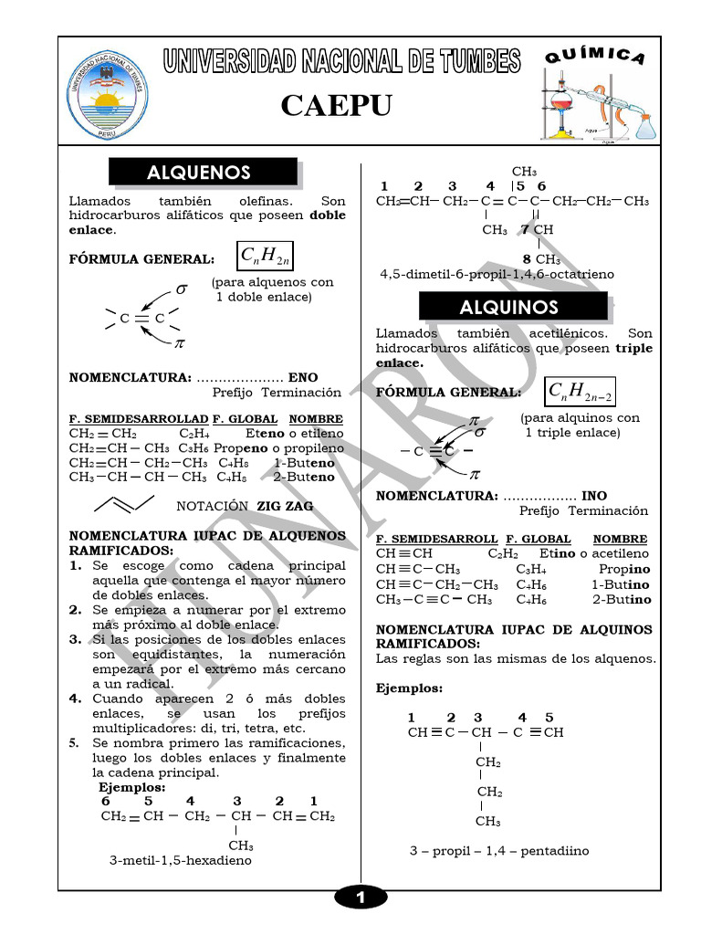 Nomenclatura de Hidrocarburos Alifáticos y Aromáticos | PDF | Benceno ...