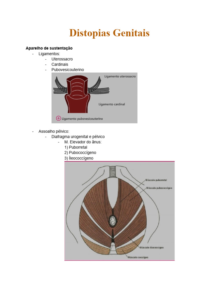 Distopias Genitais | PDF