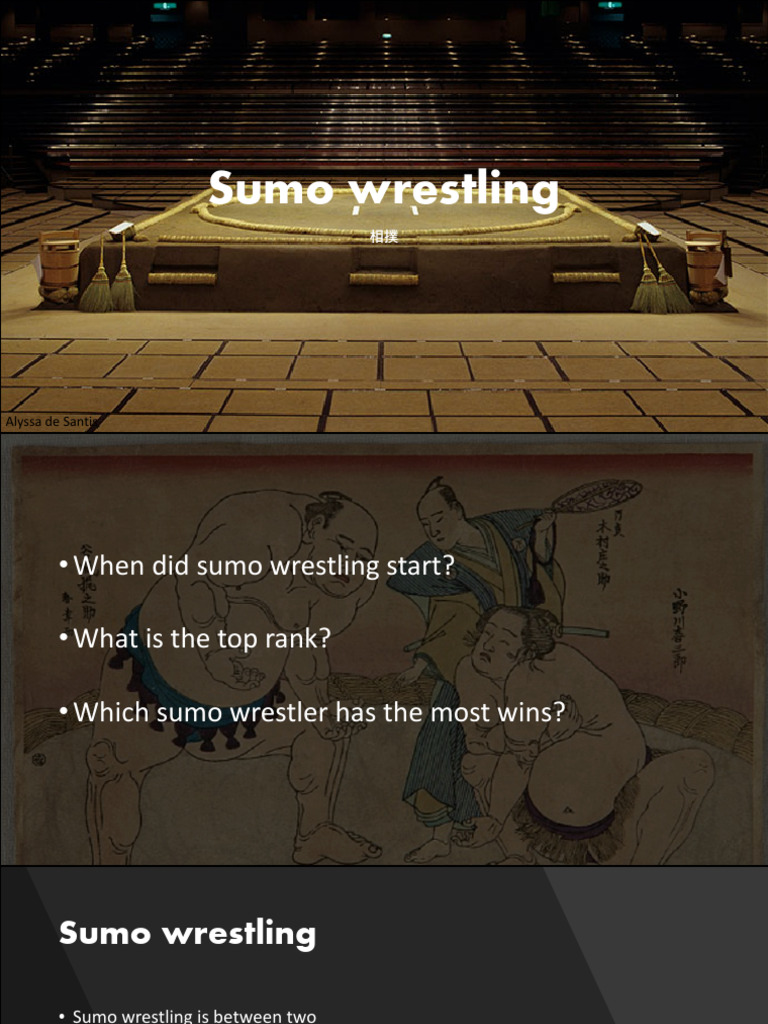 Sumo | PDF