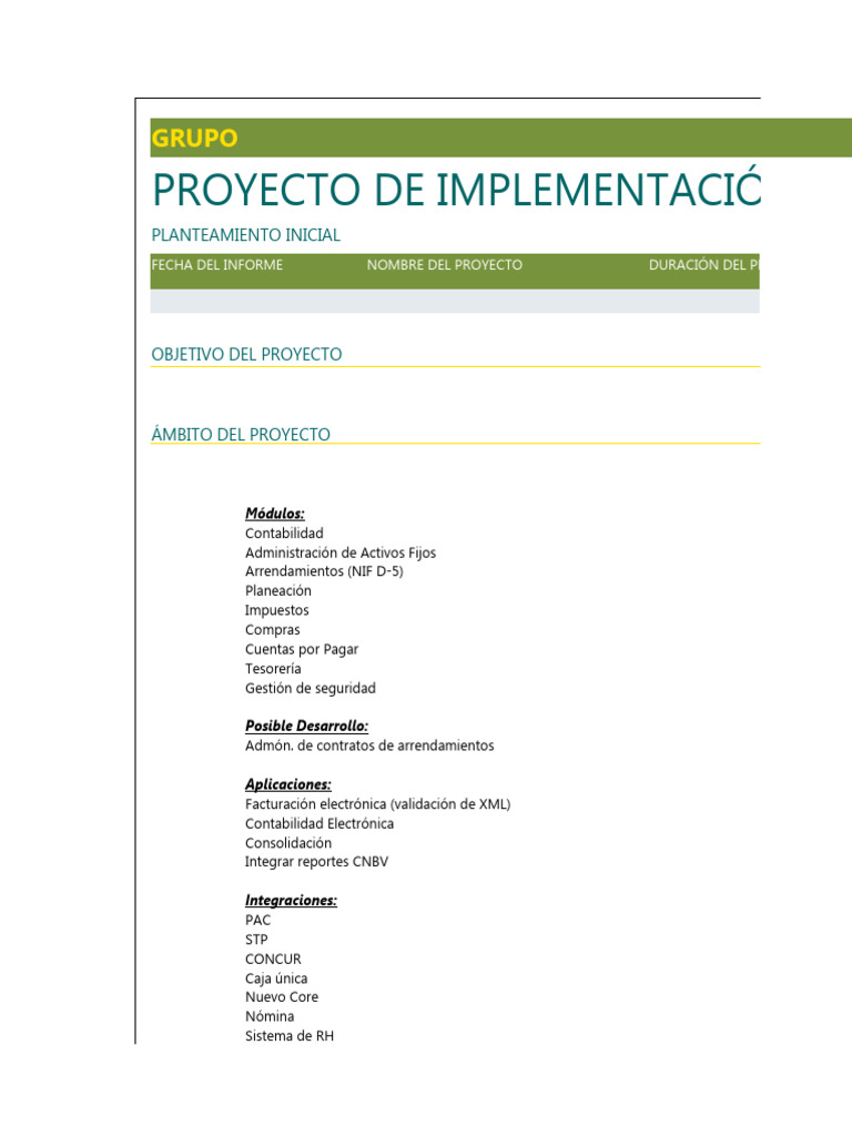Información general del proyecto | PDF | Planificación de recursos empresariales | Informática