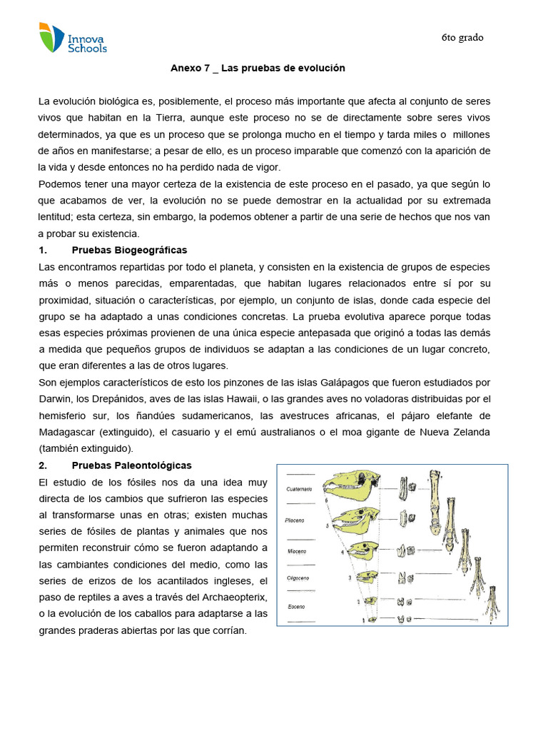 Pruebas de la evolución biológica | PDF | Evolución | Especies