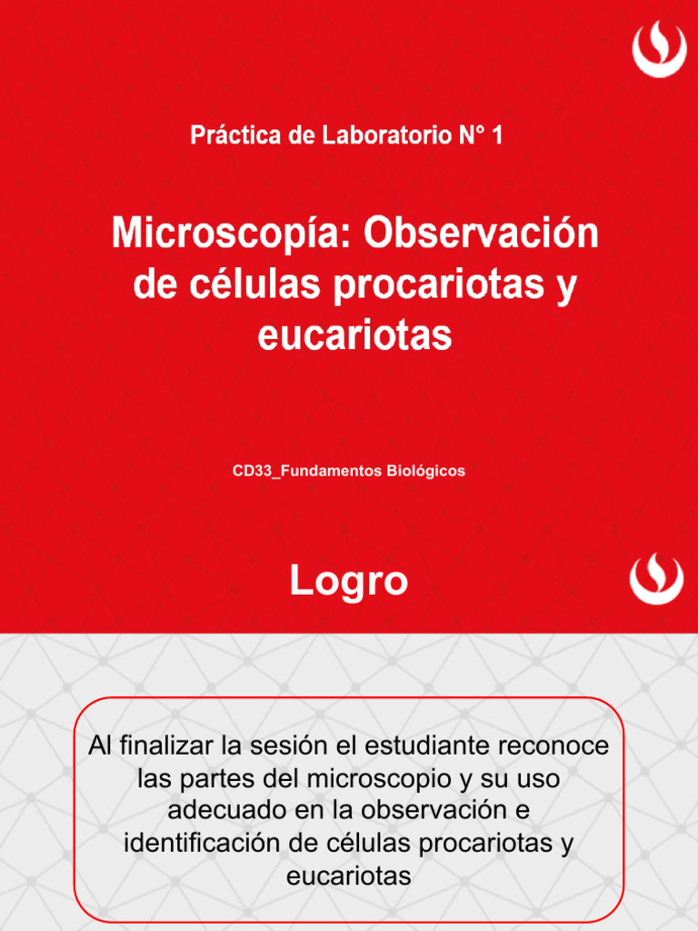 CD33 Lab01 2023 | PDF