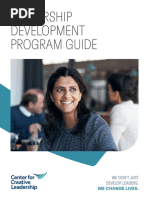 PepsiCo Leadership Competencies / Model | PDF | Competence (Human ...