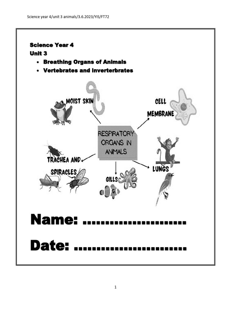 Science Year 4 Assessment Unit 3 Animals | PDF