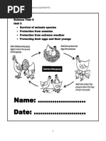 Science Notes Year 6 | PDF | Friction | Wear