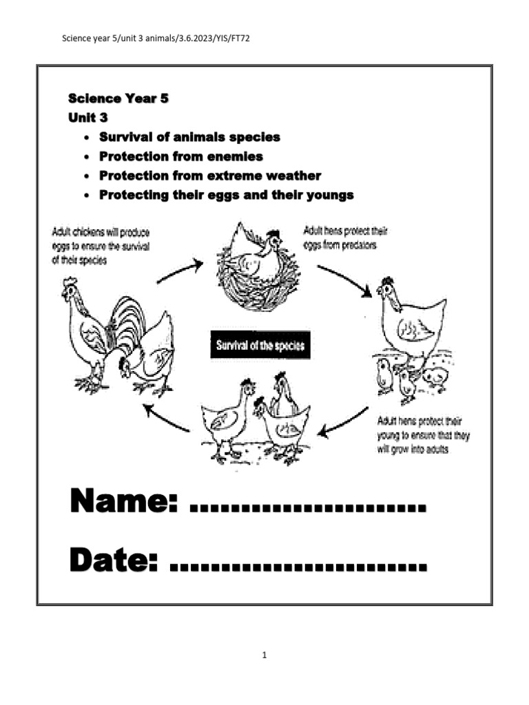 Science Year 5 Assessment Unit 3 Animals | PDF