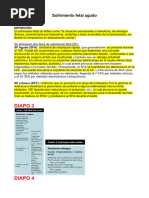 Efecto Poseiro | PDF | Placenta | Feto